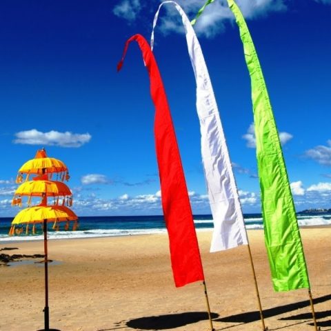 Flutter Flag | Make a Scene